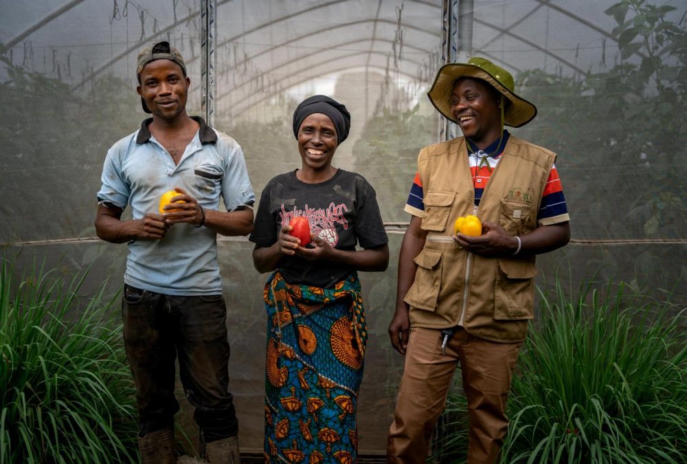 Development Partners Group Tanzania